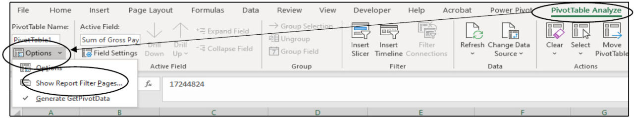Report Filter Pages in Excel | Function Explained - Commerce Curve